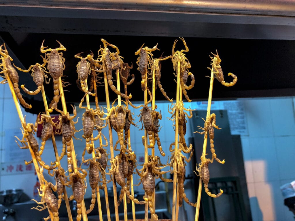 Scorpion Kebab, Chinese Street Food | The Pipeline